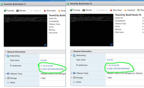 How To Configure VMWare Cloned Images To Get Unique IP Addresses Server Fault