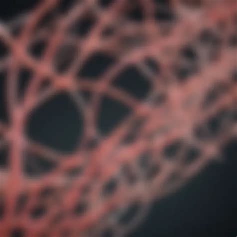 Rat Tail Type I Collagen Structure And Applications