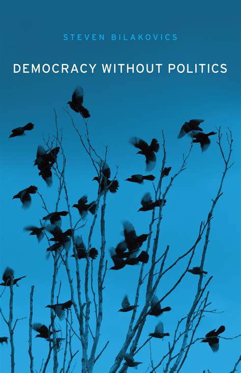 Democracy Without Politics — Harvard University Press