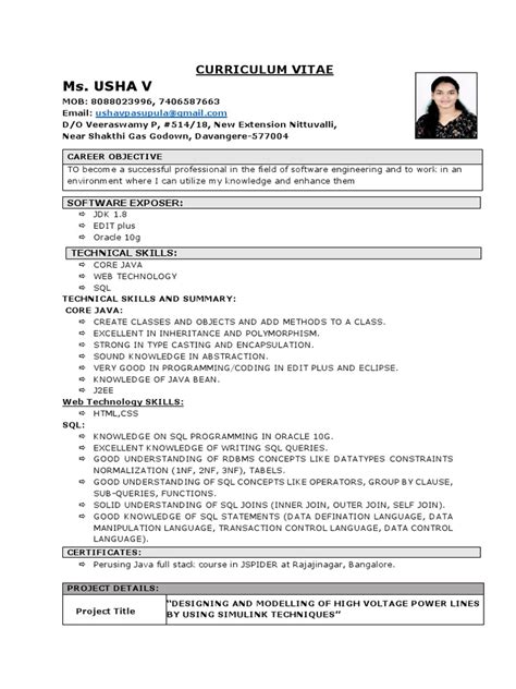 Curriculum Vitae 2 Pdf Sql Java Programming Language