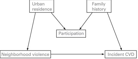 Using Directed Acyclic Graphs To Understand Possible Sources And