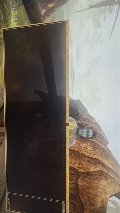 no text or cursor in dialogue boxes r openmw