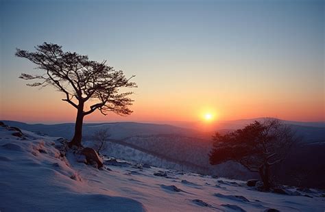 백그라운드에서 일몰과 함께 언덕에 십자가 그는 부활절 그림을 부활 종교 기독교 배경 일러스트 및 사진 무료 다운로드 Pngtree