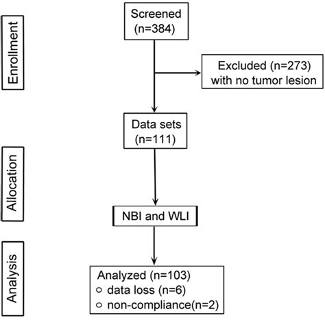 Flowchart Showing Patient Allocation Download Scientific Diagram
