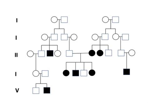 Lab 29 Heredity Flashcards Quizlet