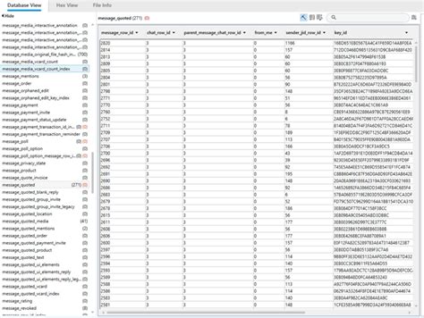 Finding Hidden Data Understanding Sql Databases