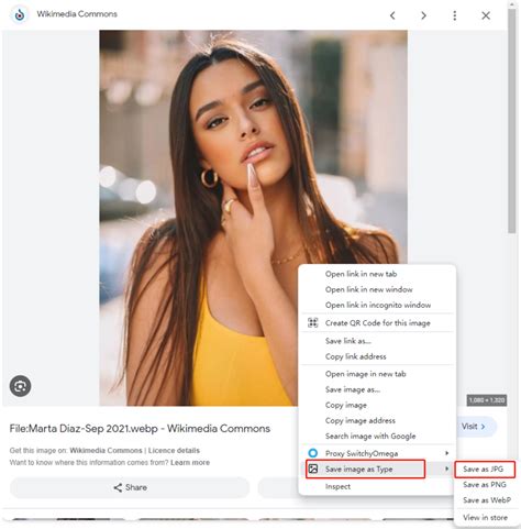 How To Save Webp As  Step By Step Guide Fotor
