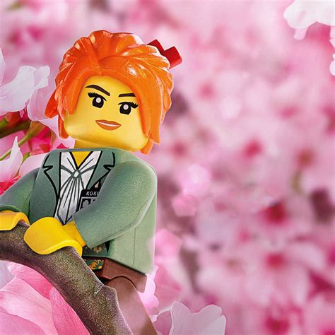 X MISAKO The LEGO Ninjago Movie Ipad Air HD K Wallpapers Images Backgrounds Photos And