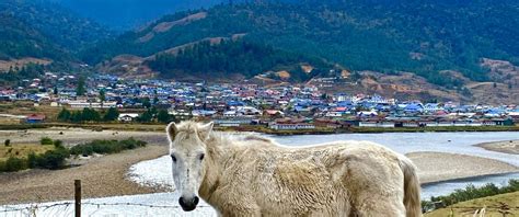 Mechuka Travel Guide All You Wish To Know Oddessemania