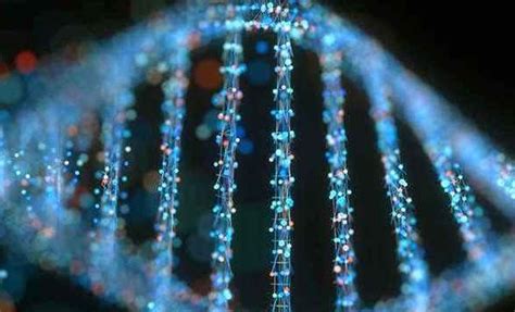 Dna Isolation Archives Everything Microbiology