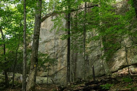 Boulder Loop Trail Trail Finder