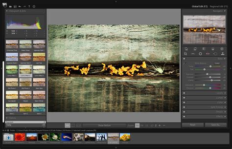 Effect Presets Global Edit User Guide Of Pt Photo Editor Easily Rescue Problem Photos