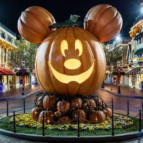 Halloween Time Disneyland And California Adventure Enjoy Oc