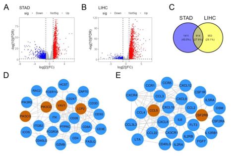 differential genes networks associated with immune subtypes volcano