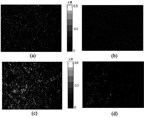 The Polarization Maps Of The Skin Object Field In Fraunhofer Download Scientific Diagram