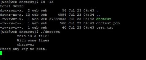 Creating And Trimming Self Contained Executables In Net Core A