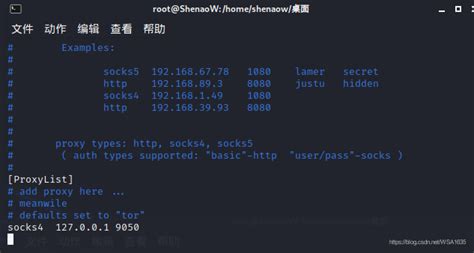 用 proxychains 实现linux shell代理（非翻墙） greenbone feed sync加速 csdn博客