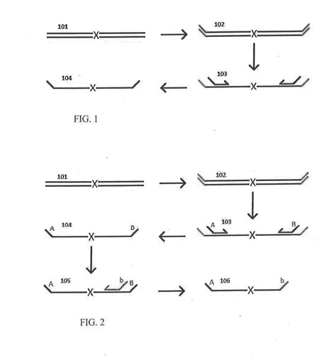 Highly Multiplex Pcr Methods And Compositions Eureka Patsnap