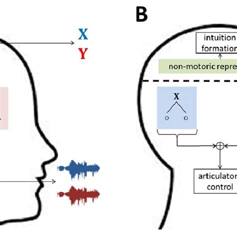 Schematic Models Of Intra Speakerword Variation A Speakers Maintain Download Scientific