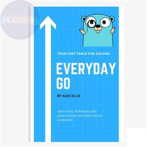 jual buku everyday go the fast track for golang shopee indonesia