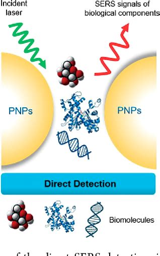 Figure 10 From Surface Enhanced Raman Spectroscopy For Bioanalysis Reliability And Challenges