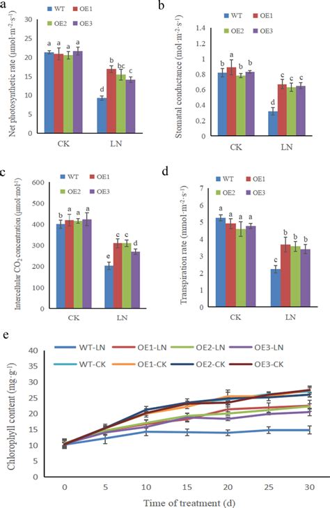 Analysis Of Photosynthetic Capacity Of Overexpressing Download Scientific Diagram