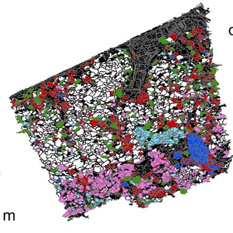 Segmentation And Ground Truth Map Making Result The Tree Classes Found Download Scientific