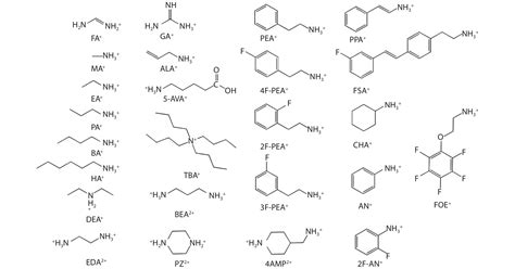 Dimensional Tailoring Endows Tin Halide Perovskite Solar Cells With