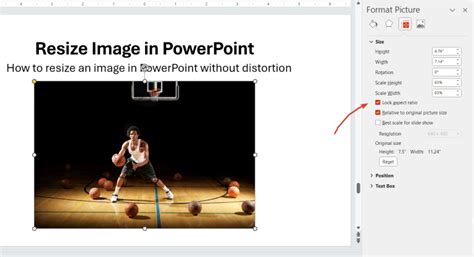 how to resize an image in powerpoint without distortion