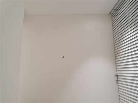 석고보드 구멍 났을 때 패치로 셀프 수리 방법 천정 구멍도 가능 네이버 블로그