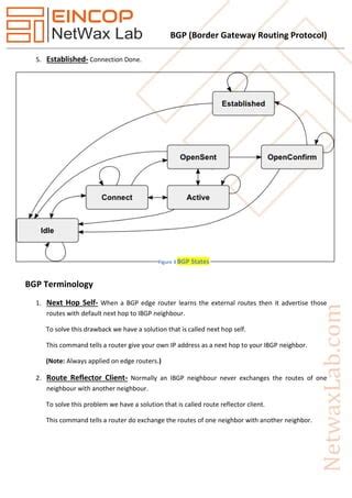 BGP Border Gateway Routing Protocol PDF Internet Computing
