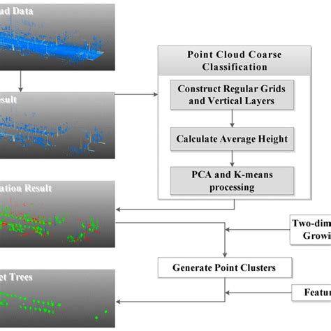 the process of extracting individual street trees download