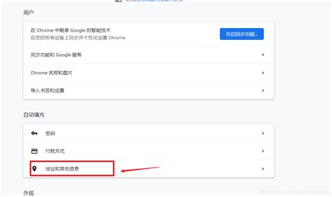 谷歌浏览器（chrome）输入框总是有历史输入记录，解决办法 游览器一打字就跳出历史记录 csdn博客