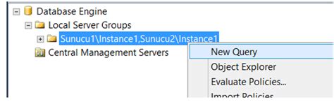 How To Execute A Script On Multiple Instance With Registered Server