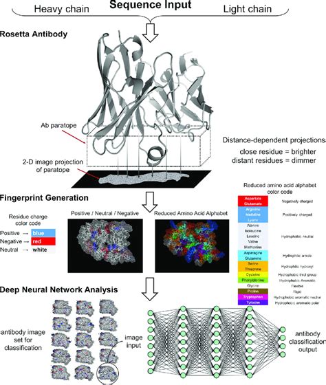 Schematic Overview Describing The Steps Required To Generate Download Scientific Diagram