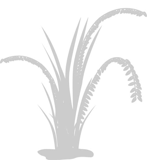 Rice 36645949 Vector Art At Vecteezy