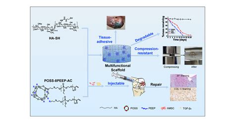 Injectable And Degradable Posspolyphosphatepolysaccharide Hybrid