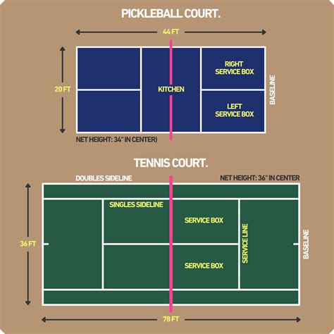 Pickleball Court Dimensions Official Size Layout And Pro Tips 2026