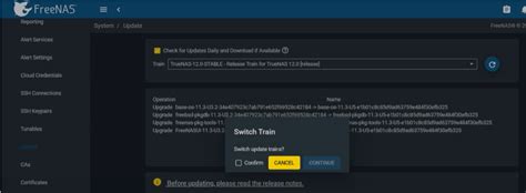Upgrading Freenas 113 To Truenas 12 Release Blogs