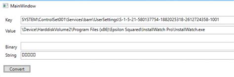 C Convert Reg Binary To Human Readable Form Stack Overflow