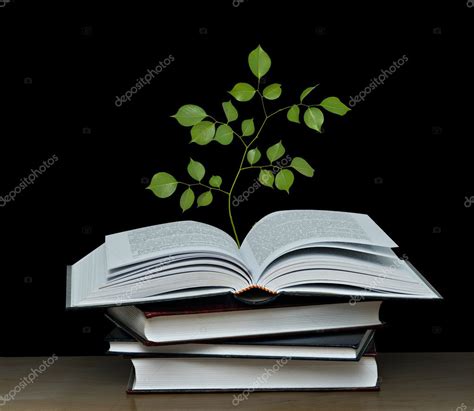 Tree Growing From Open Book Stock Photo Vaeenma