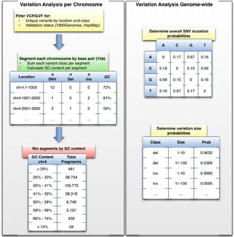 Variation Frequency Table Generation Procedure The Variation Analysis