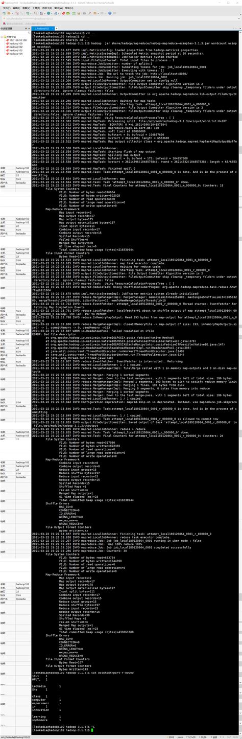 hadoop入门 八 ——本地运行模式 完全分布模式案例详解，实现wordcount和集群分发脚本xsync快速配置环境变量 （图文详解步骤