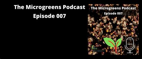 Microgreens Seed Calculator Find The Perfect Seeding Density