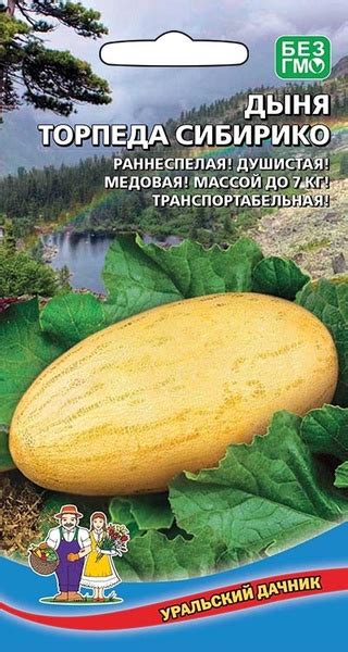 Дыни Уральский дачник Дыня - купить по выгодным ценам в интернет ...