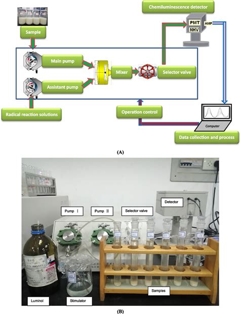 The Purity Identification Of Pnps A Cellulose Acetate Membrane