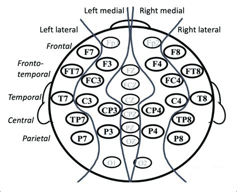 Indicating Factors And Levels For Statistical Analyses Of ERP Effect Download Scientific