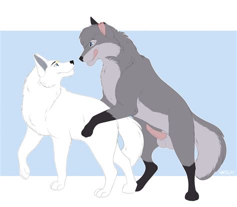 Rule 34 Ambiguous Gender Animal Genitalia Balls Canid Canine Canis