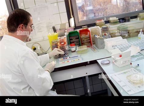 Identifying Bacteria Laboratory Technician Performing An Analytical Profile Index Api Test