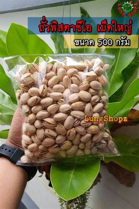 ถั่วพิสตาชิโอ สด ใหม่ อร่อยเพลิน ถุงแพ็คเอง Th